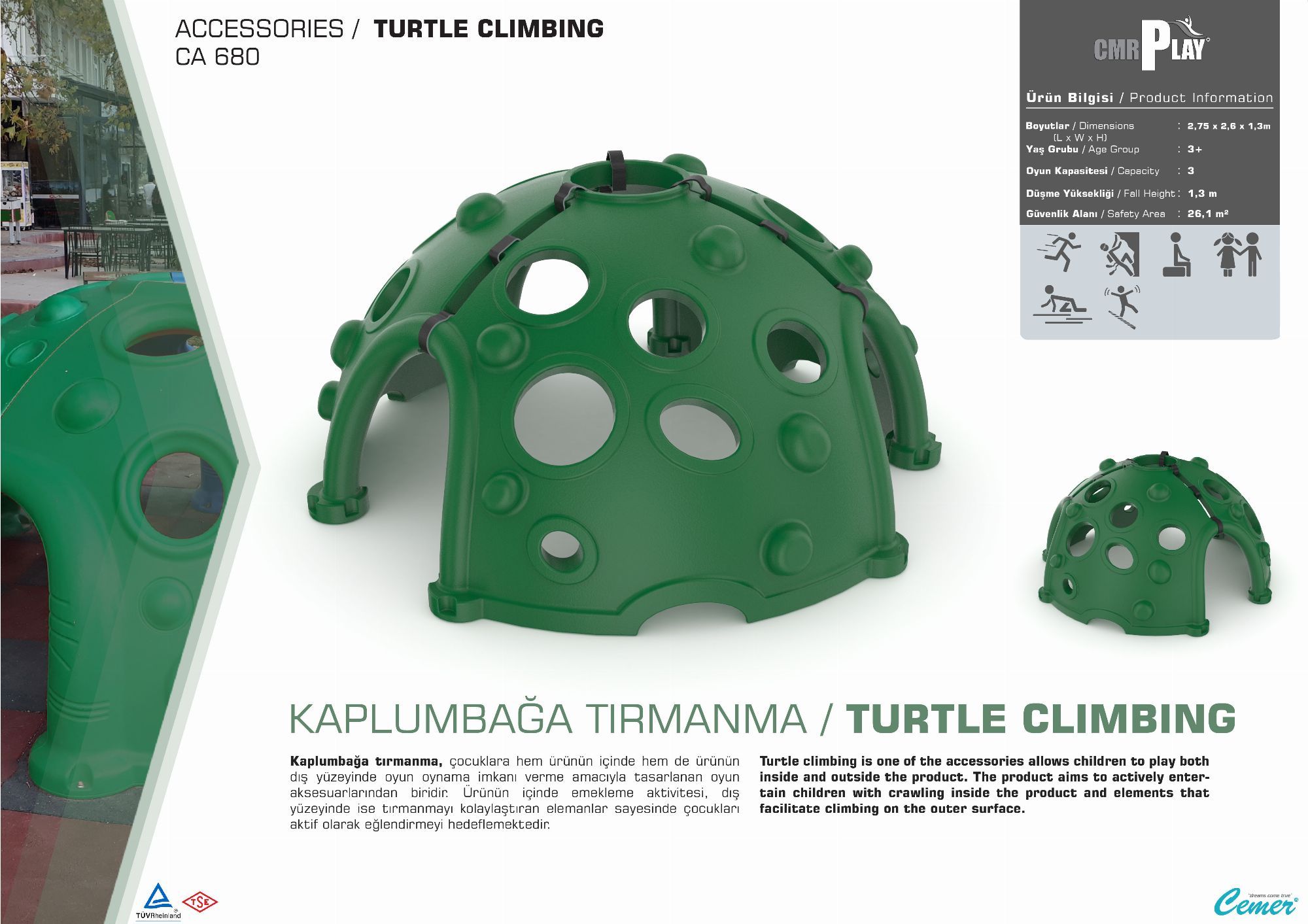 Turtle Climbing Wall (CA 680)